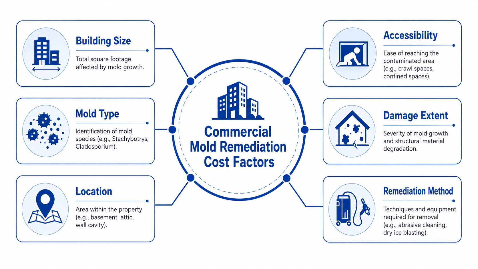 Commercial Mold Remediation Cost: A 2026 Business Guide